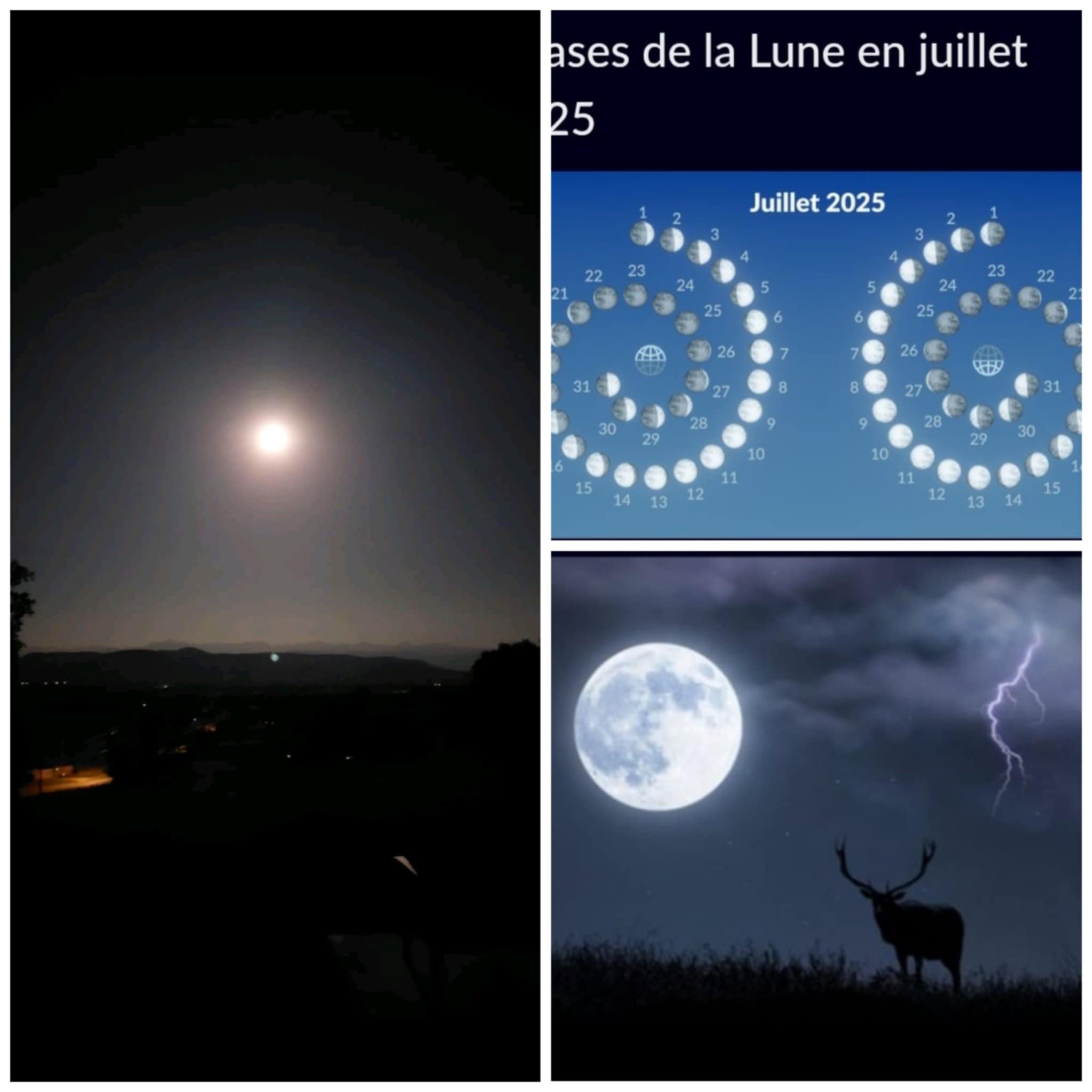 Retour sur la Buck Moon 2025 : une pleine lune de transformation et d ...